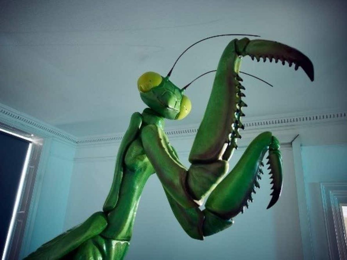 David Shrigley installs giant praying mantis sculpture at former school ...