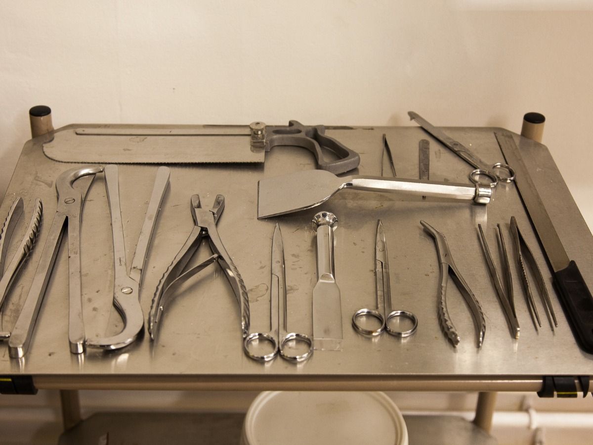 Gruesome human autopsy show featuring body part dissections taking ...