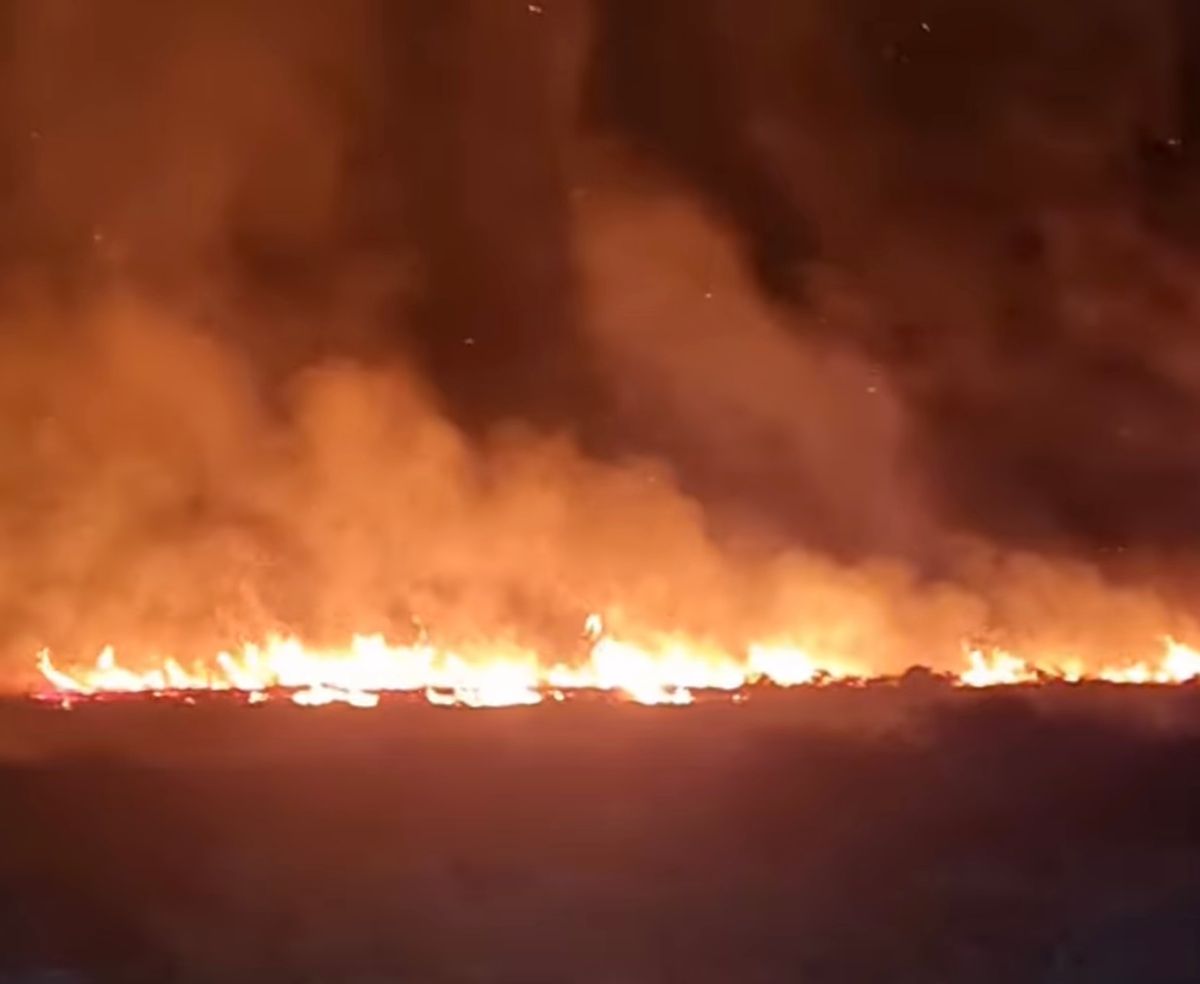 Watch: Firefighters tackle large open fire on the Long Mynd in south ...