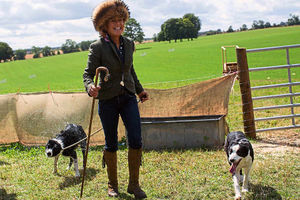 One Man and His Dog winner Katy comes a cropper at trials | Shropshire Star