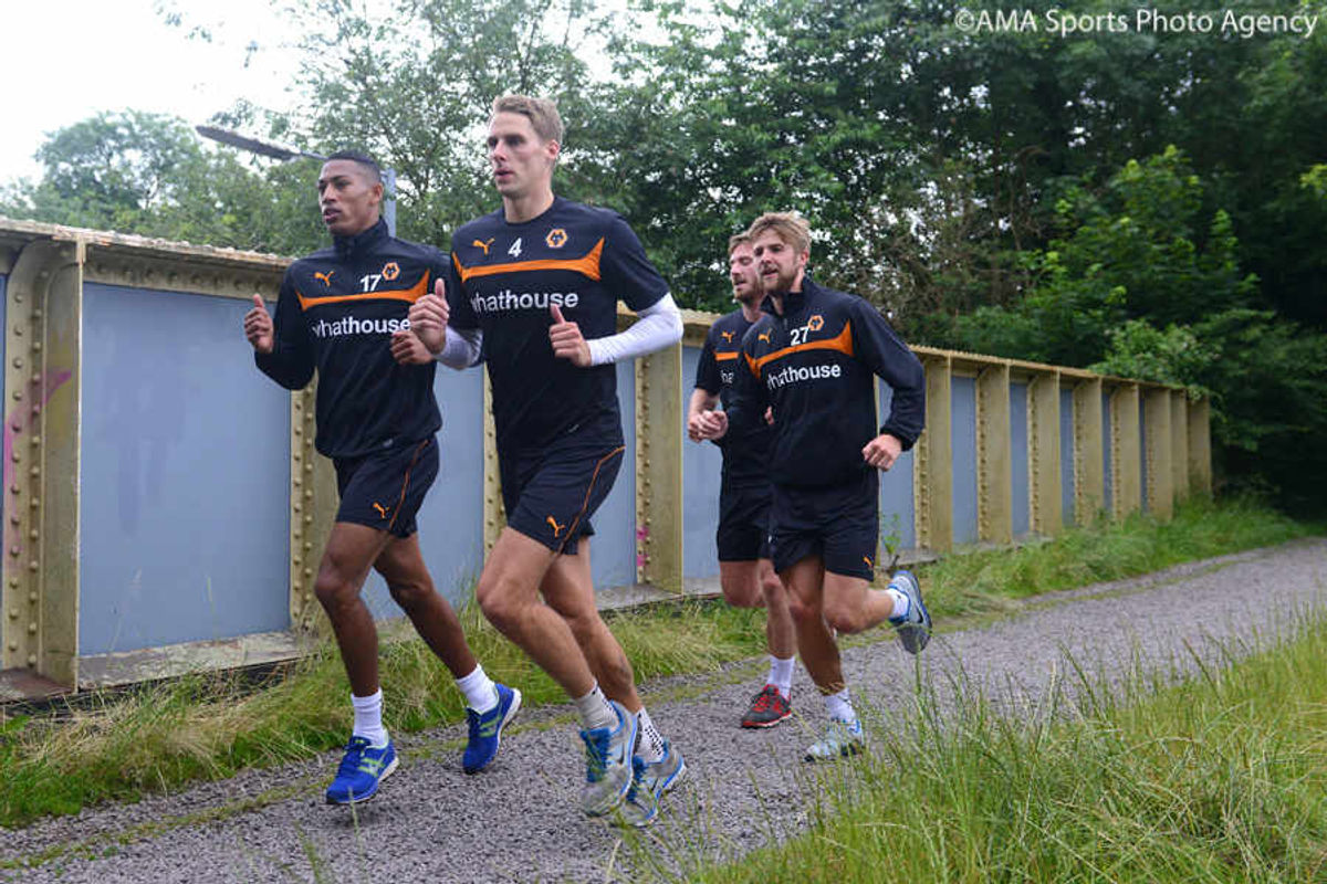 Wolves new-boy Rajiv Van La Parra 'will have time to adjust' | Express ...