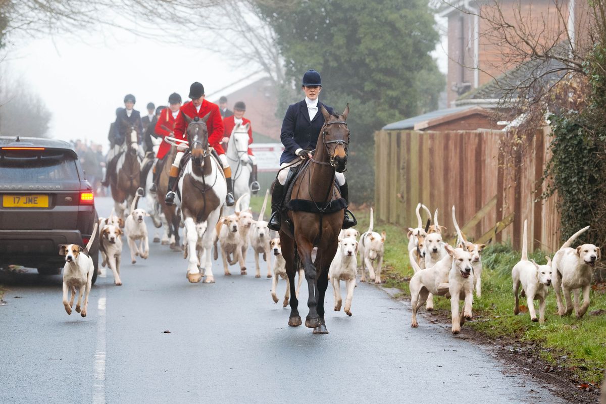 Boxing Day hunt: Controversial tradition continues in Shropshire with ...
