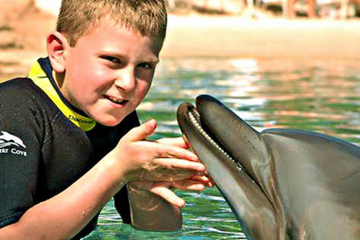 Tributes to Casey Breese after Caersws goalpost tragedy | Shropshire Star