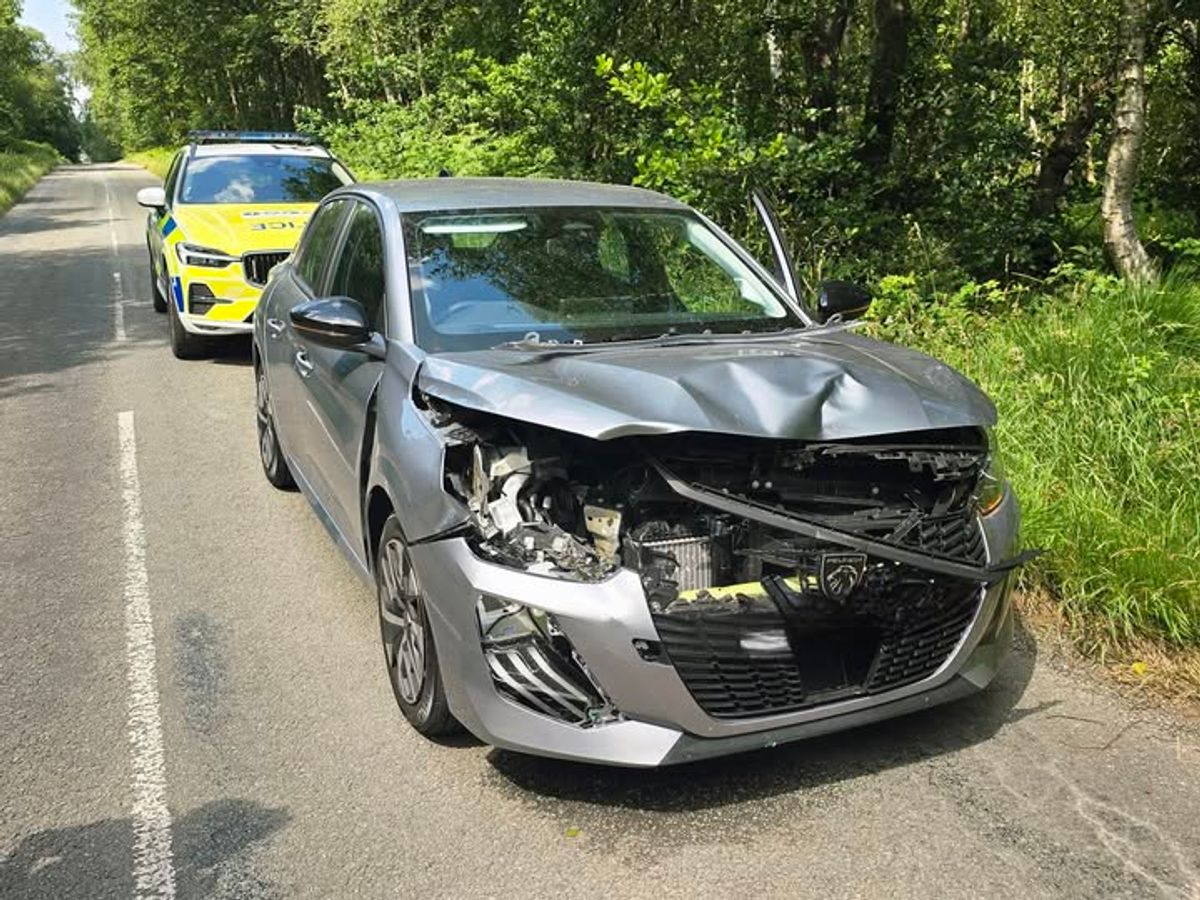 Photo shows damage caused to car that hit deer as police issue safe ...