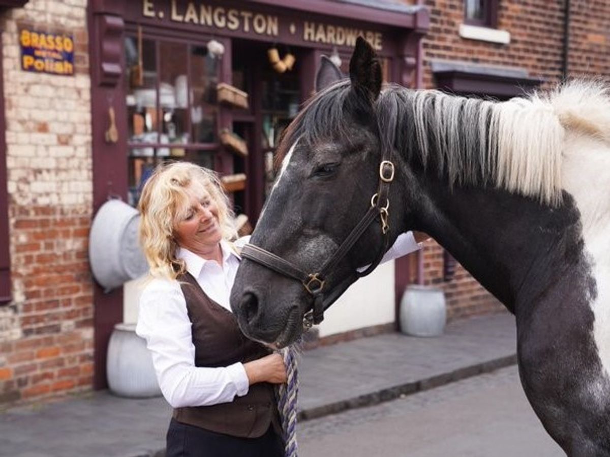 Black Country Living Museum's beloved horse helper calls it a neigh ...