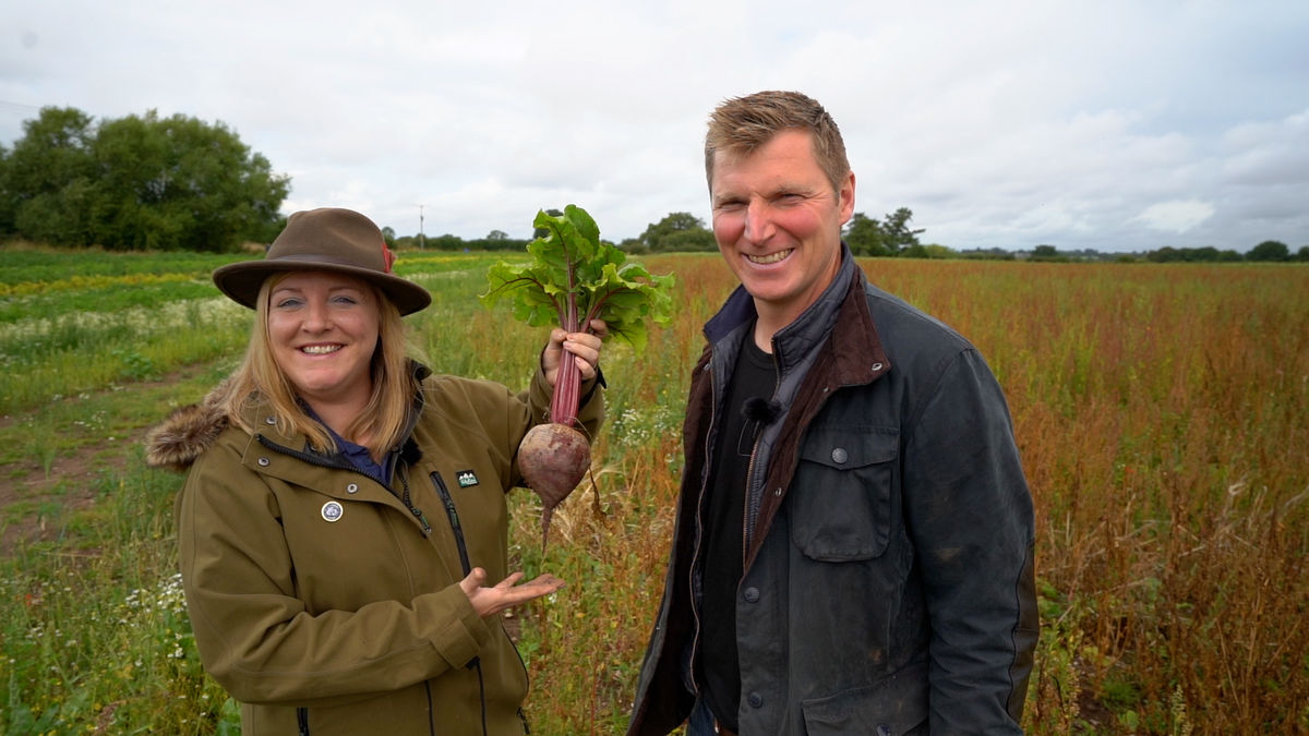 Join the ‘Harvest Hoedown’ on the farm this September | Express & Star