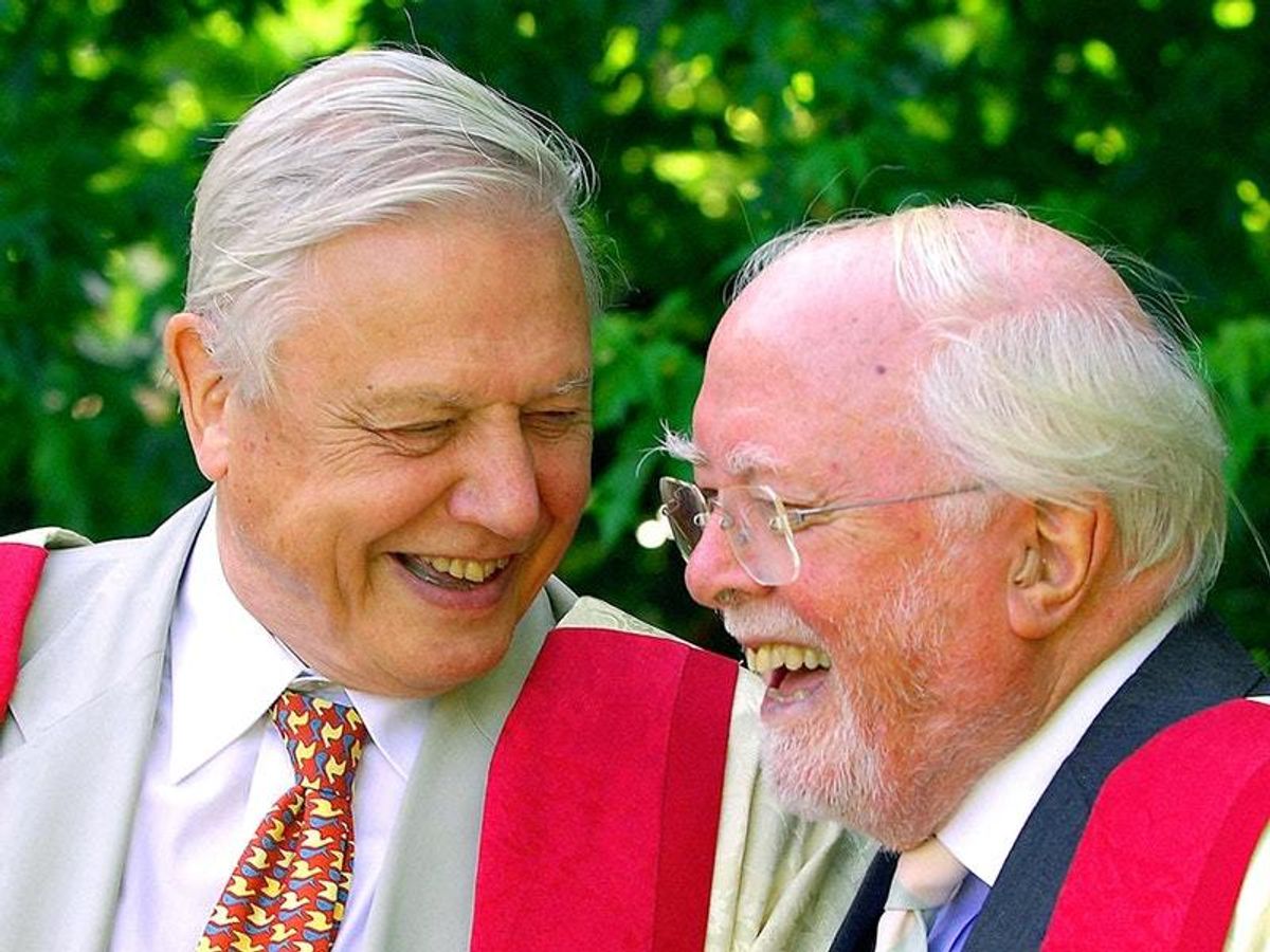 Raab mix-up as he says PM launched climate summit alongside Richard ...