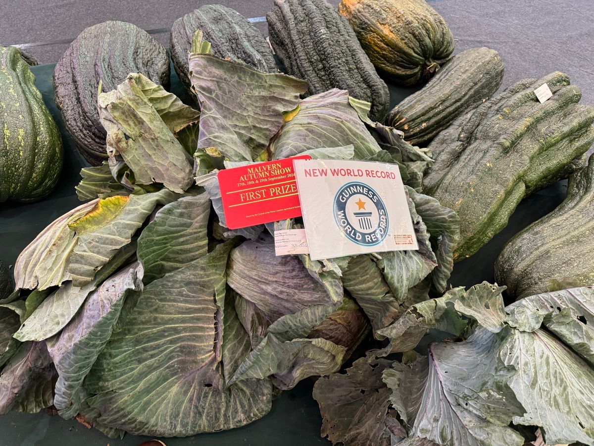 Wednesbury gardener explains how he broke world record with huge ...