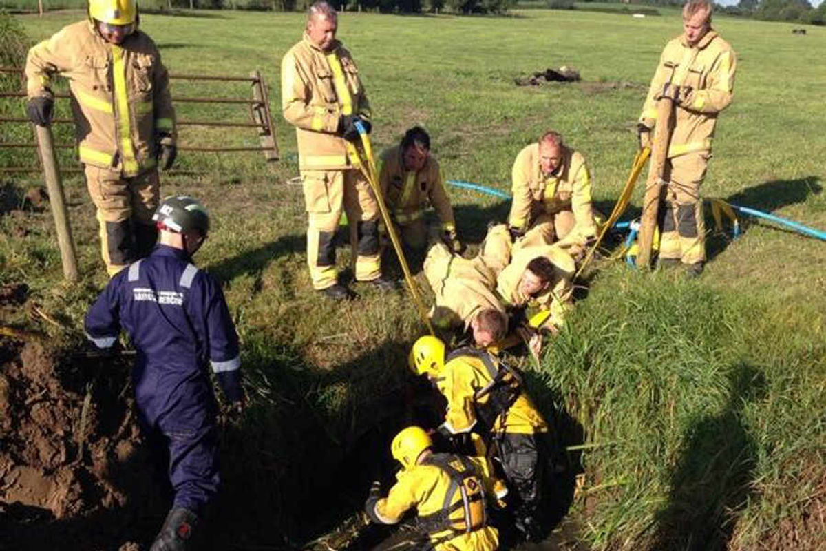 Shropshire firefighters rescue cow stuck in culvert | Shropshire Star