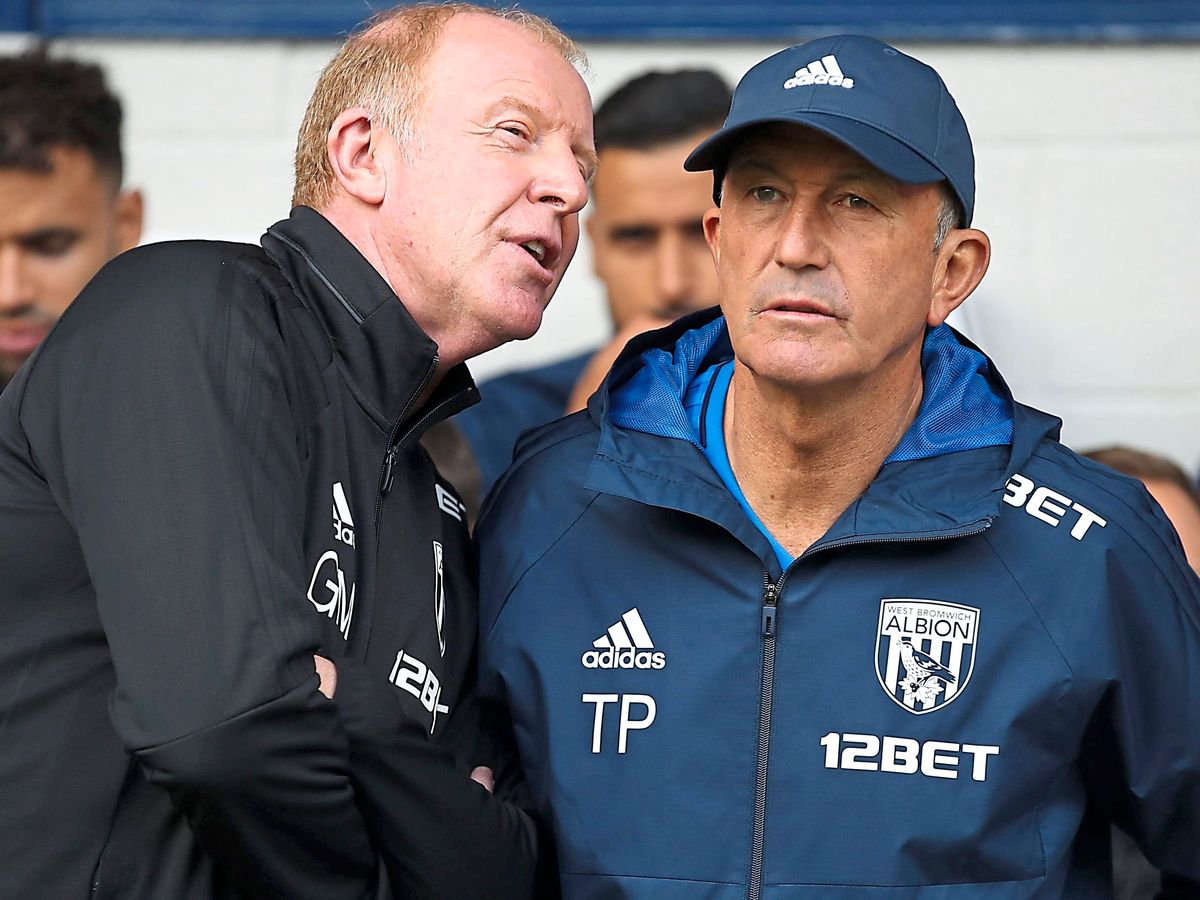 Gary Megson would have kept the West Brom up says Tony Pulis | Express ...