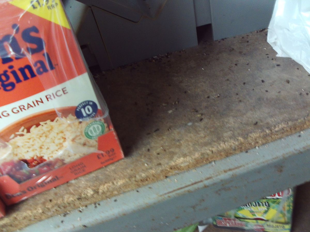 Scurrying mice chewed food packets and left droppings in Willenhall ...