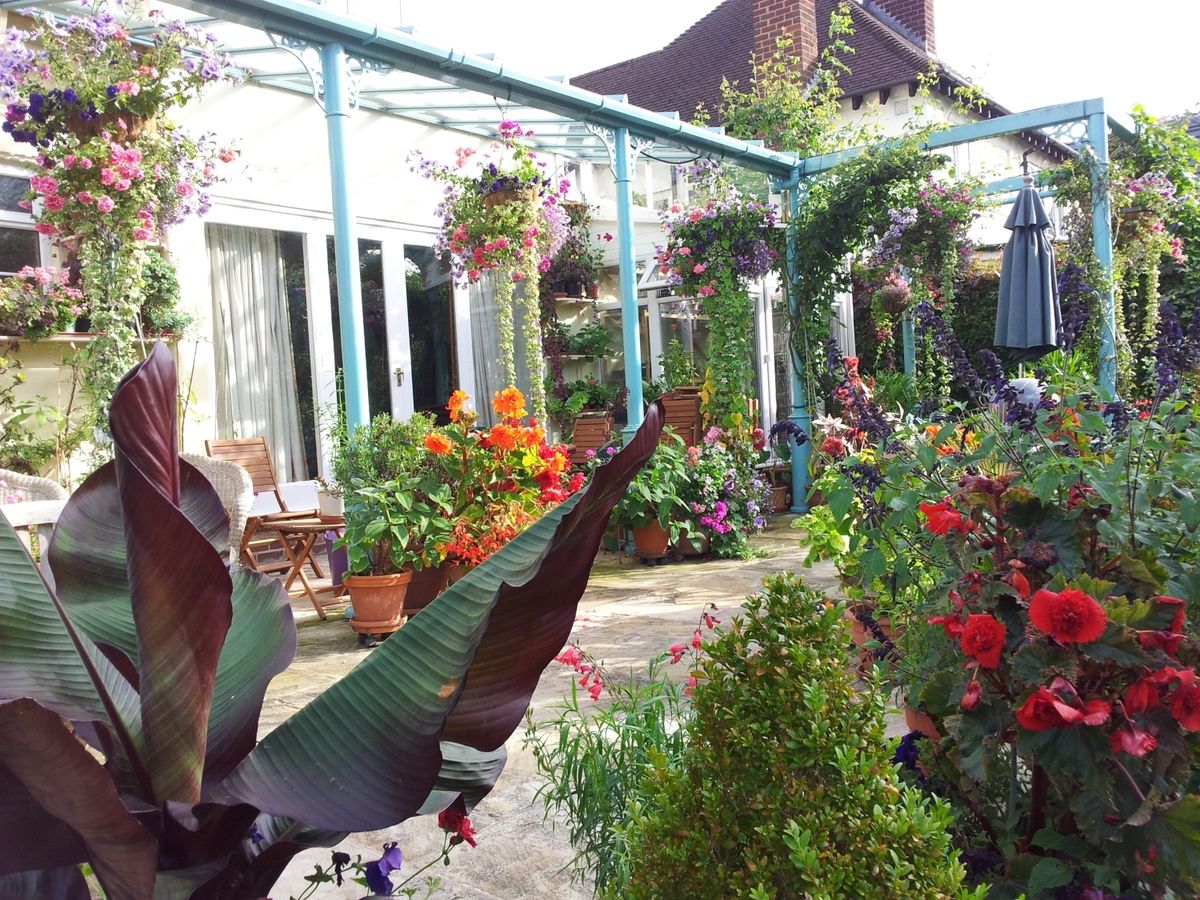 Award-winning Wolverhampton garden to star on BBC2's Gardeners' World ...