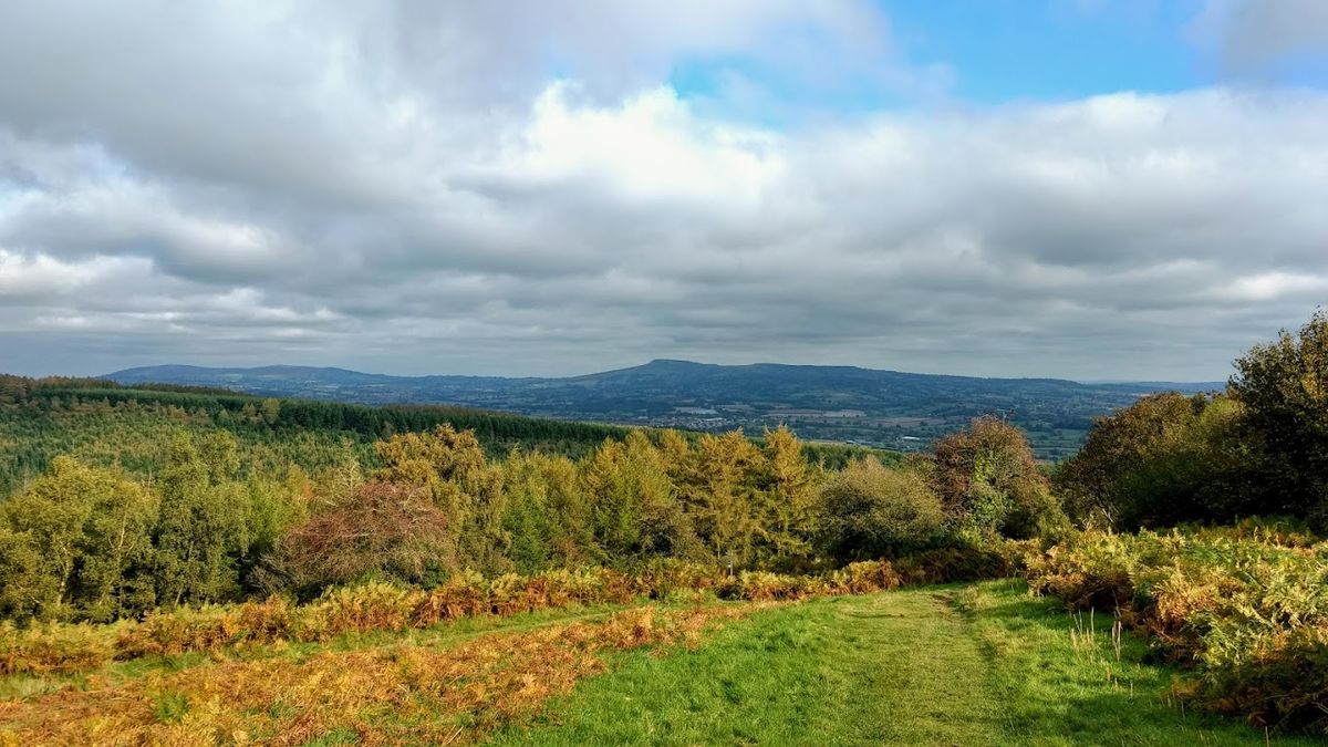11 of the best places in Shropshire for a Spring walk according to ...
