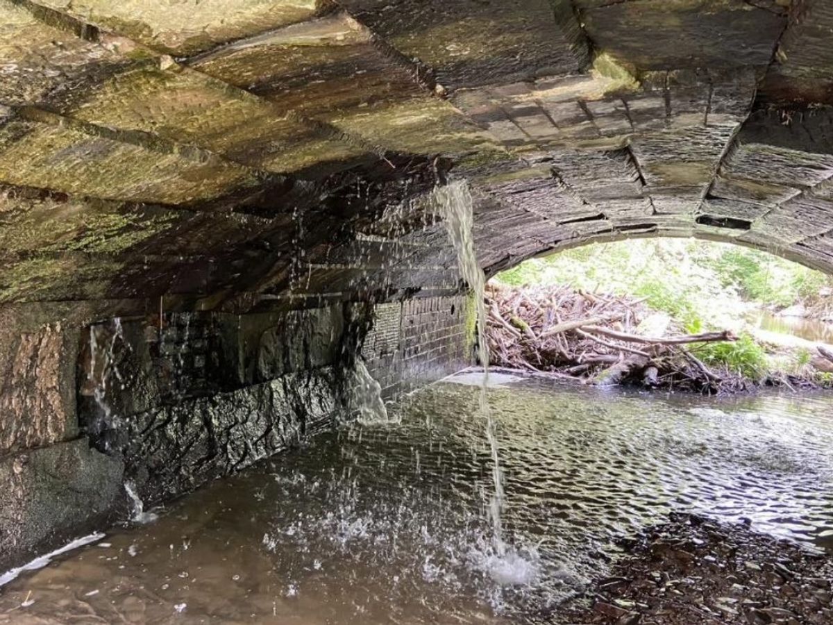 Row breaks out after potential collapse of Montgomery Canal project is ...