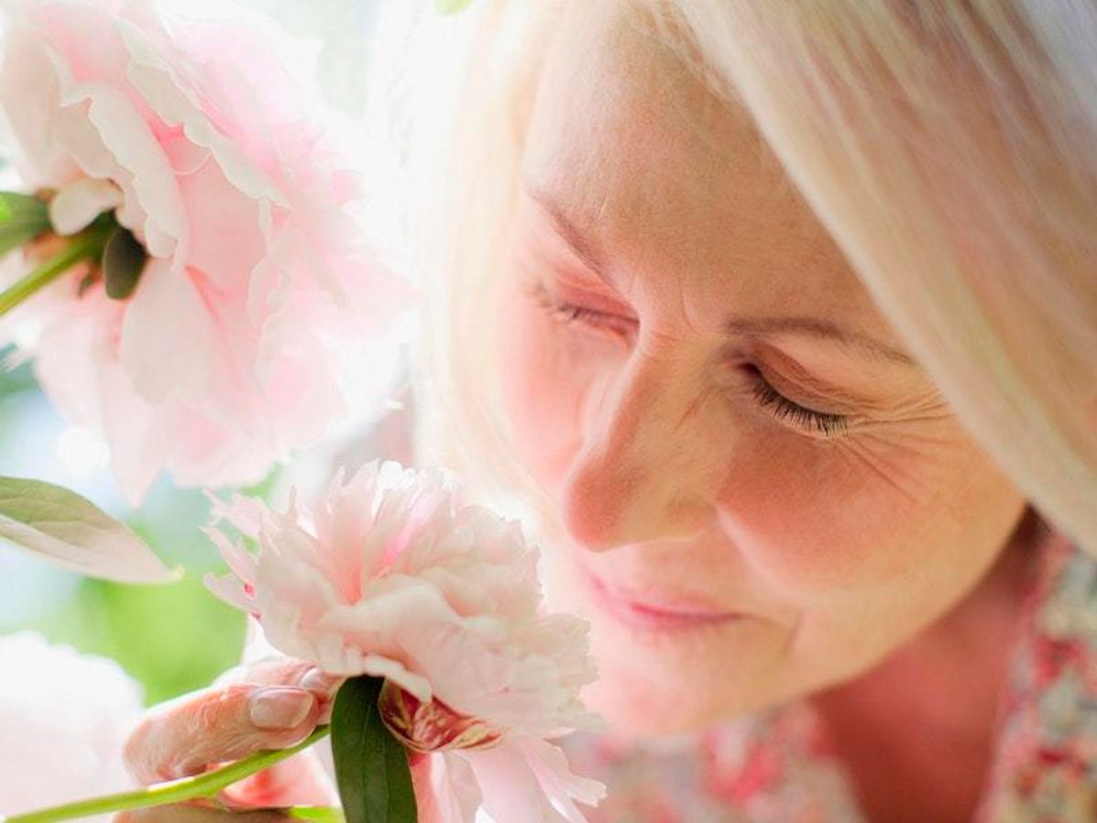 The science behind why you remember some of your favourite smells from ...