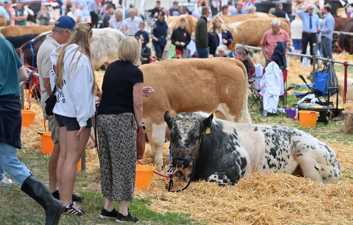 16 pictures capture joy as Oswestry Show returns for 138th year ...