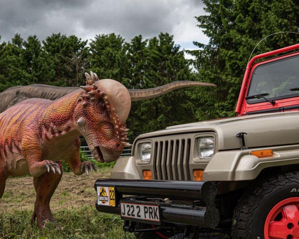 Hoo Zoo joins Access Card Scheme as part of Equal Opportunities ...