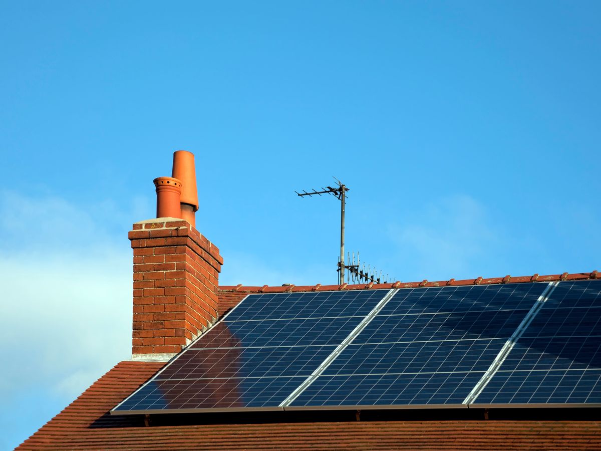 Octopus Energy launches ‘buy now, pay later’ for solar panels | Express ...