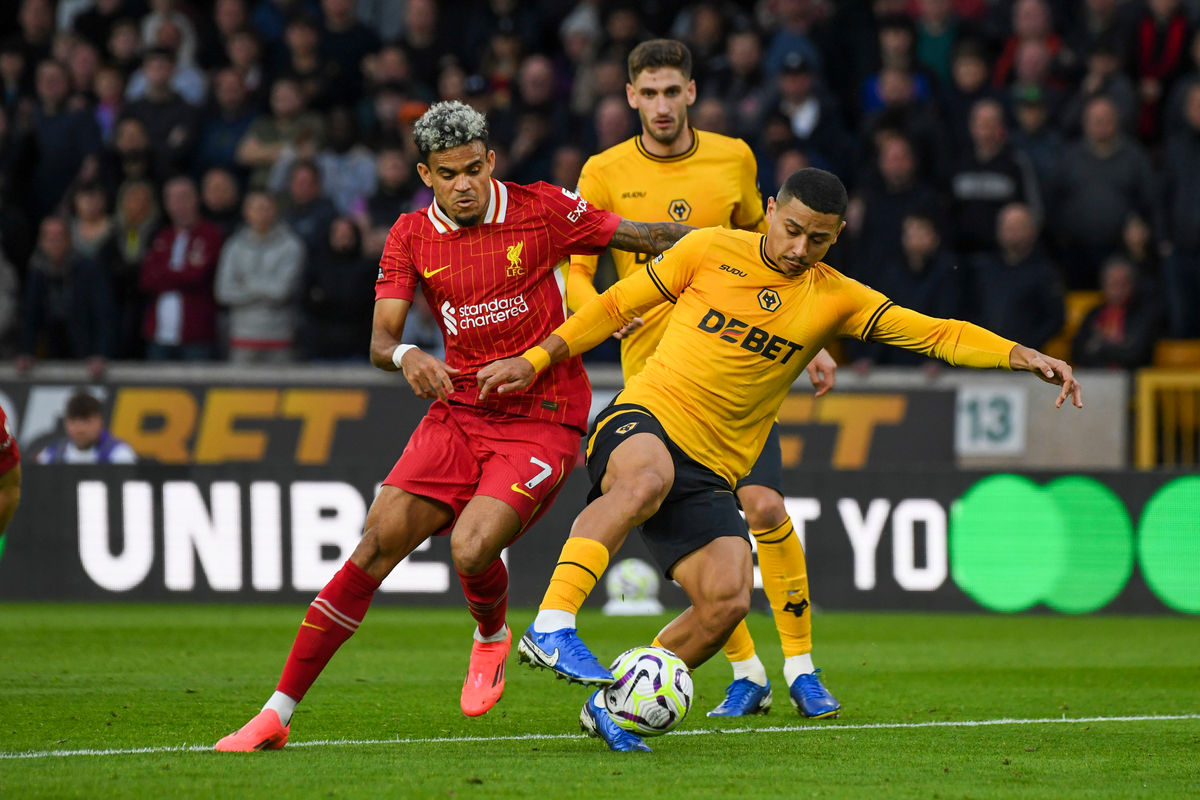 Dave Edwards: Keep up that level and I’m sure Wolves will be OK ...