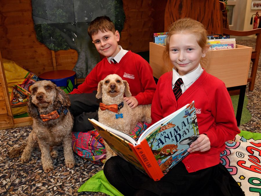 Latest Willenhall news | Express & Star