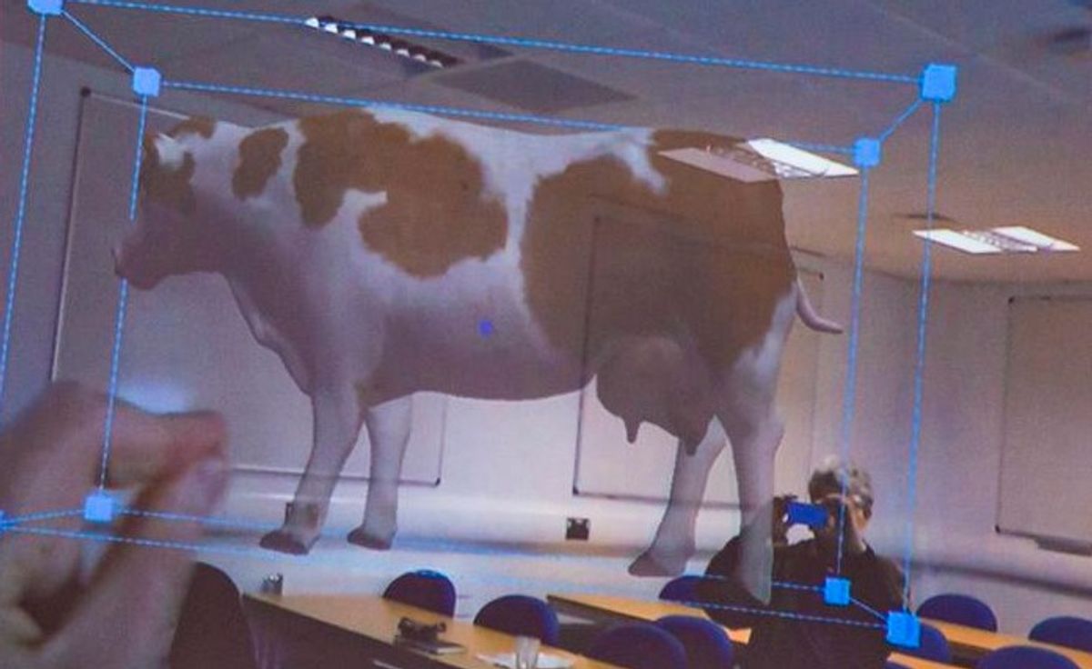Holo-cow! Interactive cows brought into classroom at Newport university ...
