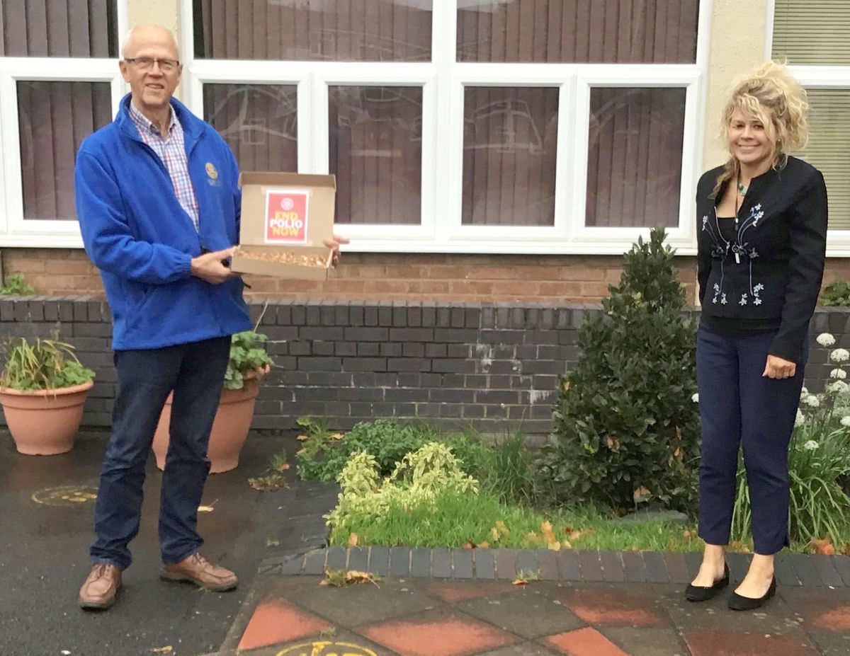 Crocus bulbs presentation | Shropshire Star