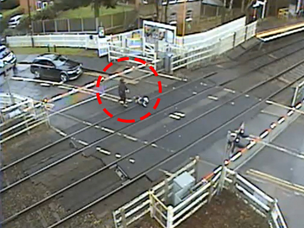 Train forced into emergency stop after 'reckless' dog walker invades ...