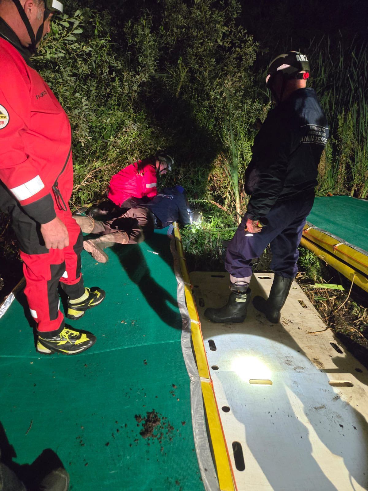 In pictures: See firefighters save submerged pony Patches from muddy ...