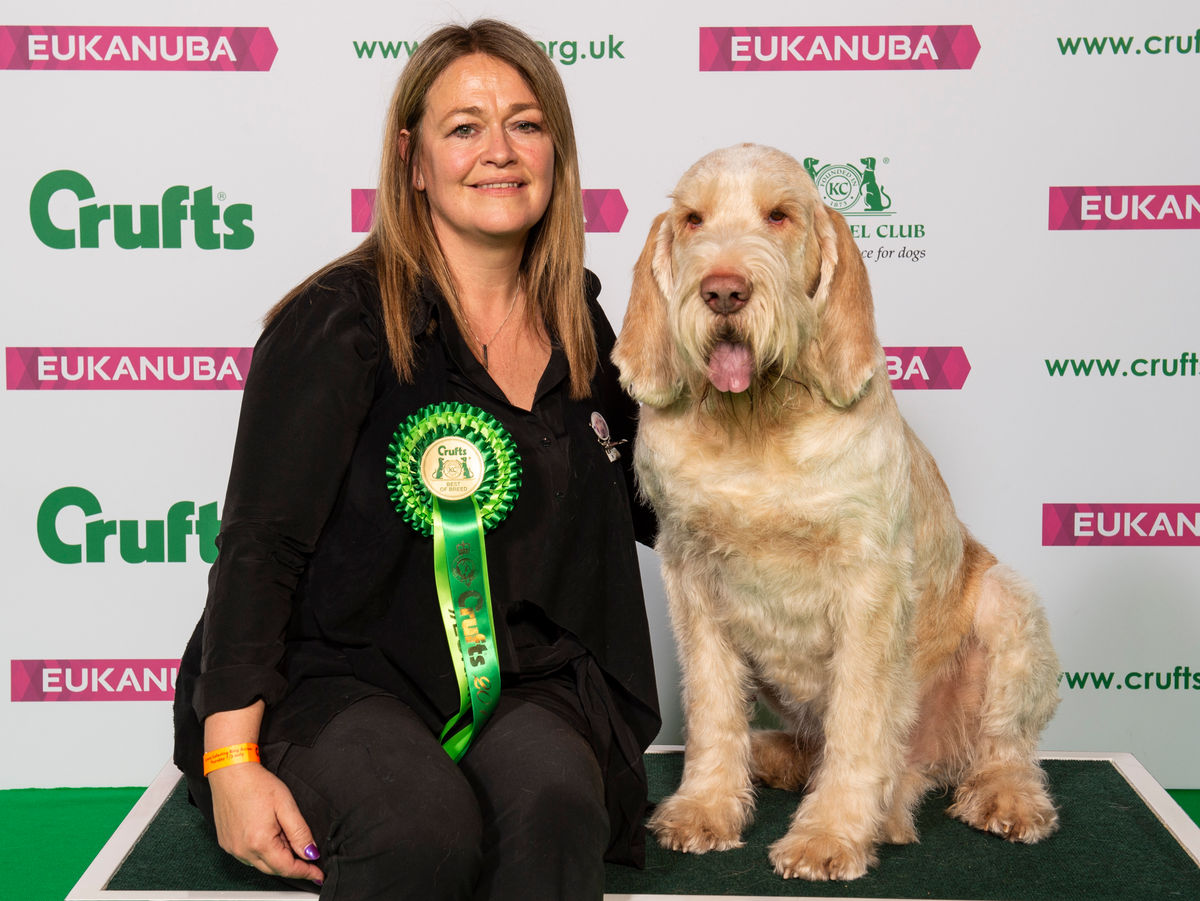 Telford dog wins Best Of Breed award at Crufts | Shropshire Star