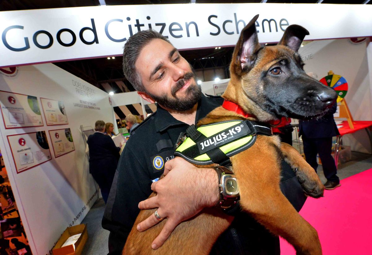 Crufts 2019: Work dogs on show at Birmingham NEC | Express & Star