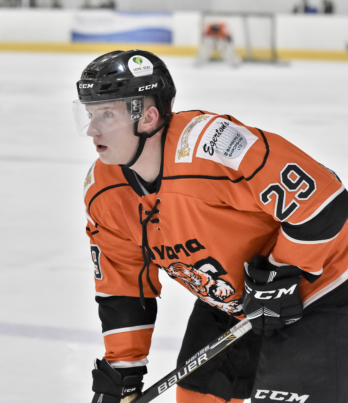 Nick Oliver agrees Telford Tigers return | Shropshire Star