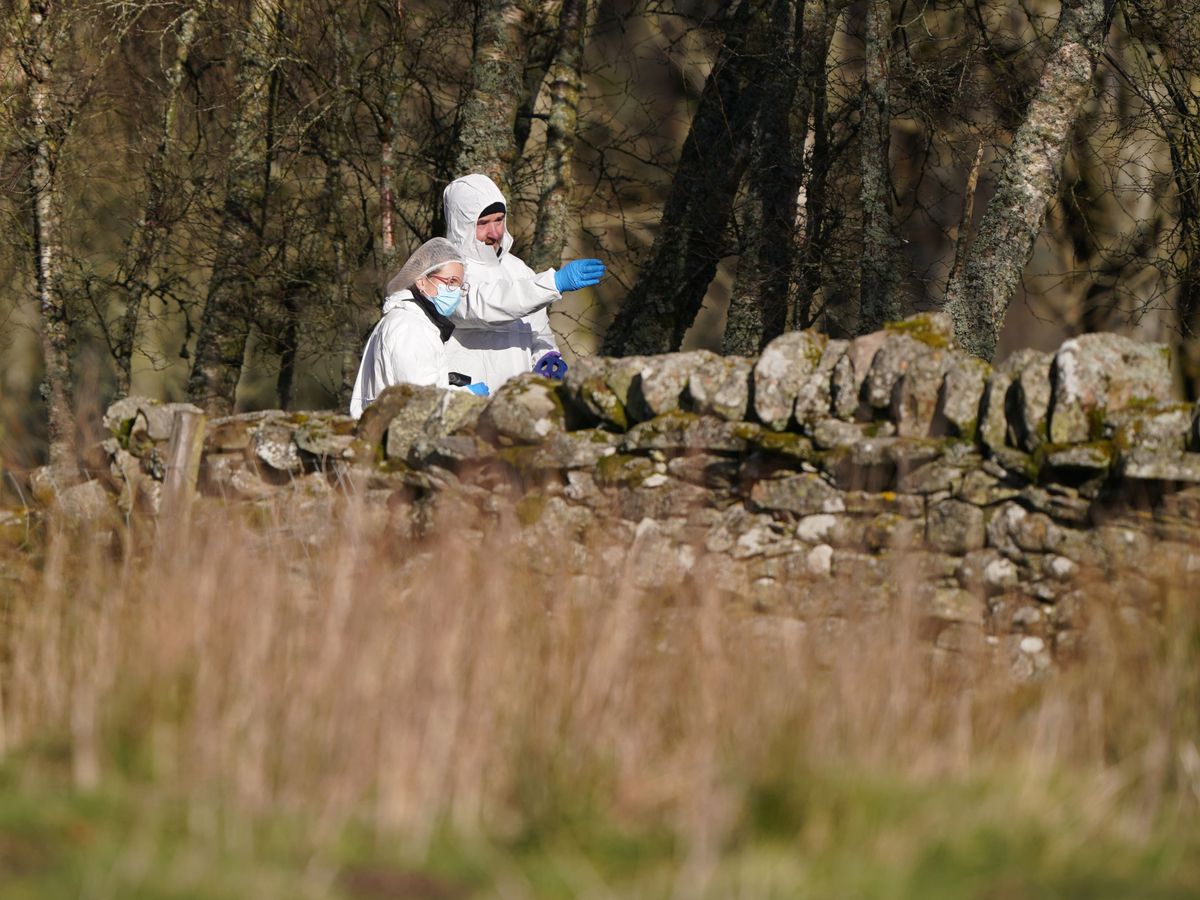 Man charged in connection with death of dog walker found on remote ...