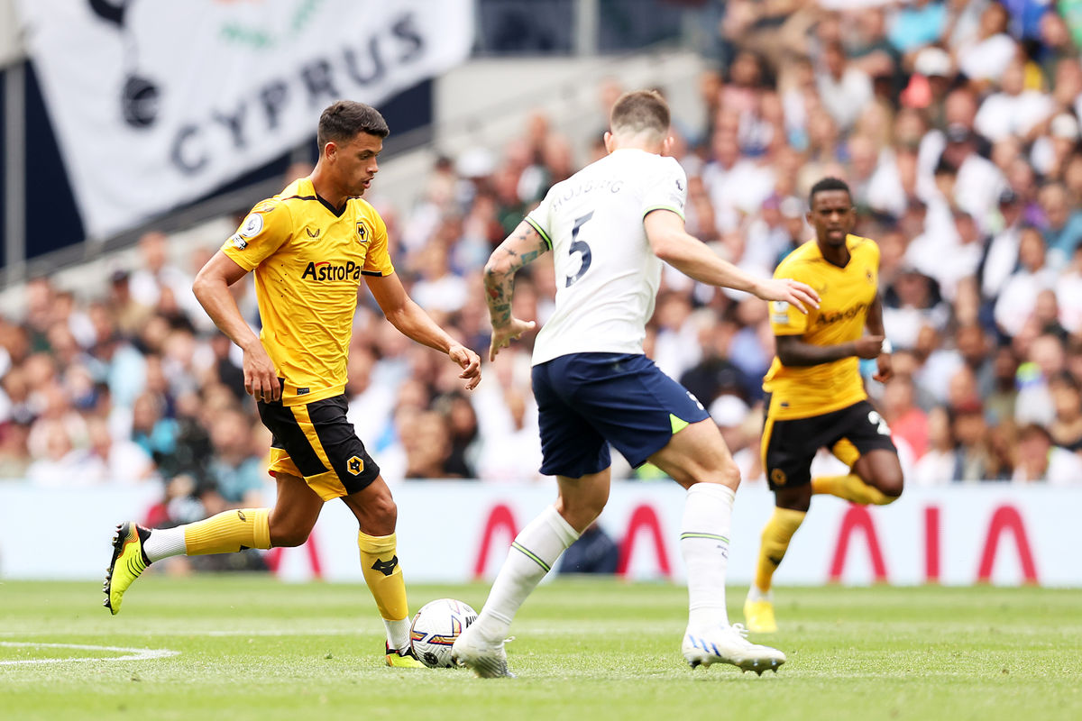 Dave Edwards: Wolves midfield one of the best - but Kane was difference ...