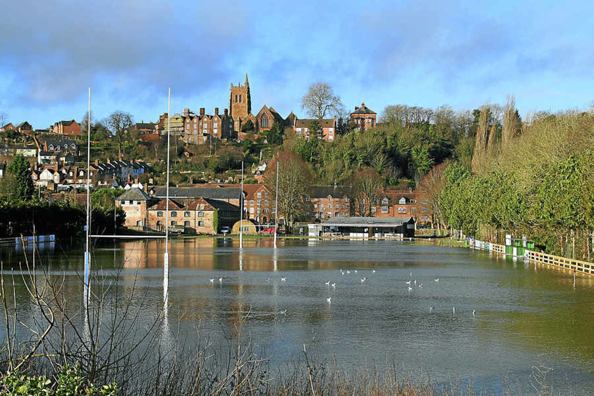 Approval for Bridgnorth Rugby Club's new ground | Shropshire Star