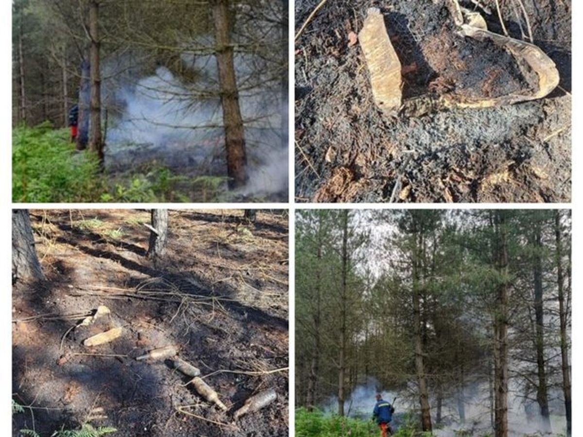 Urgent warning as police release dramatic images of Cannock Chase fire ...