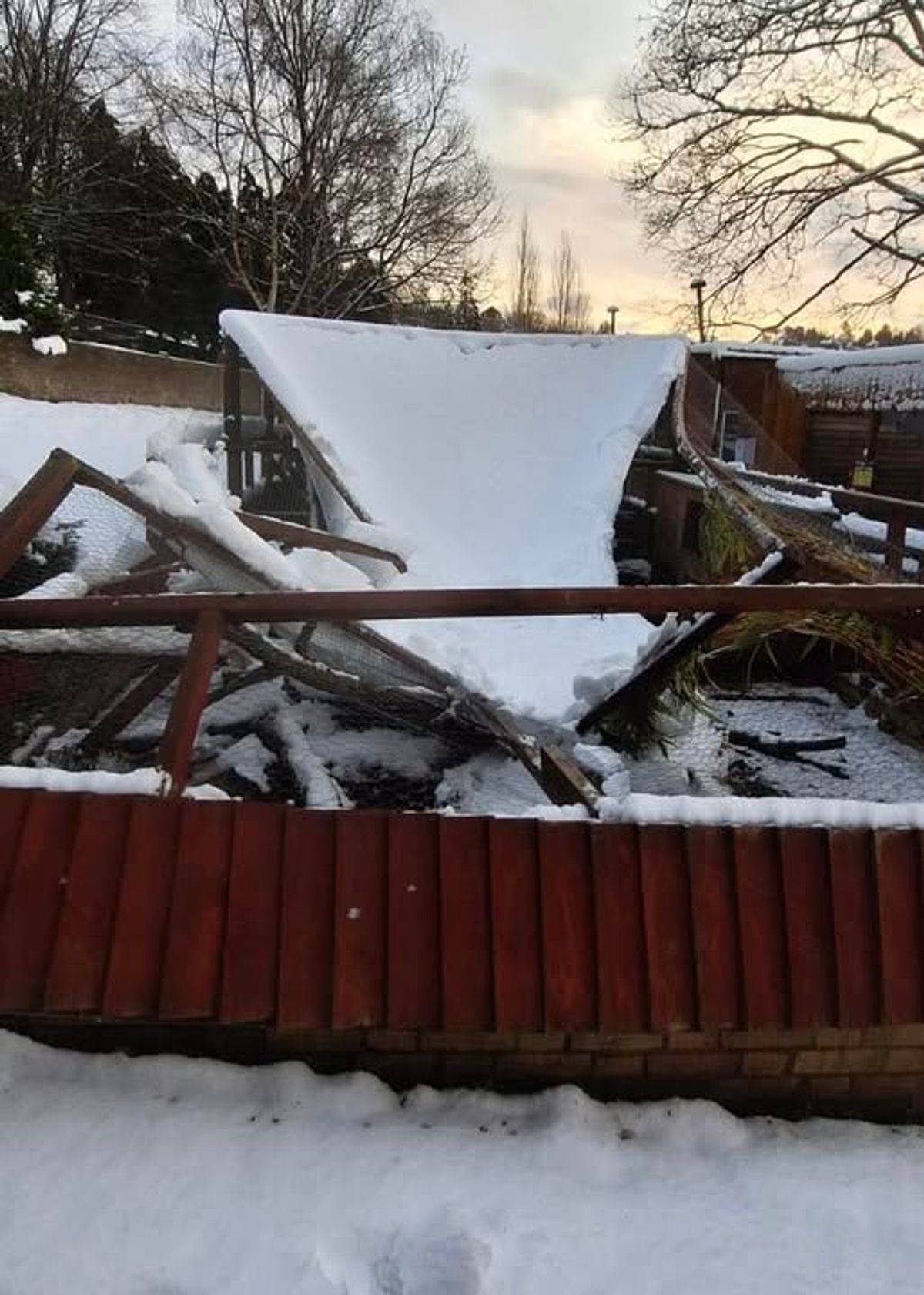 "It could be weeks before we re-open again" - Director of much loved ...