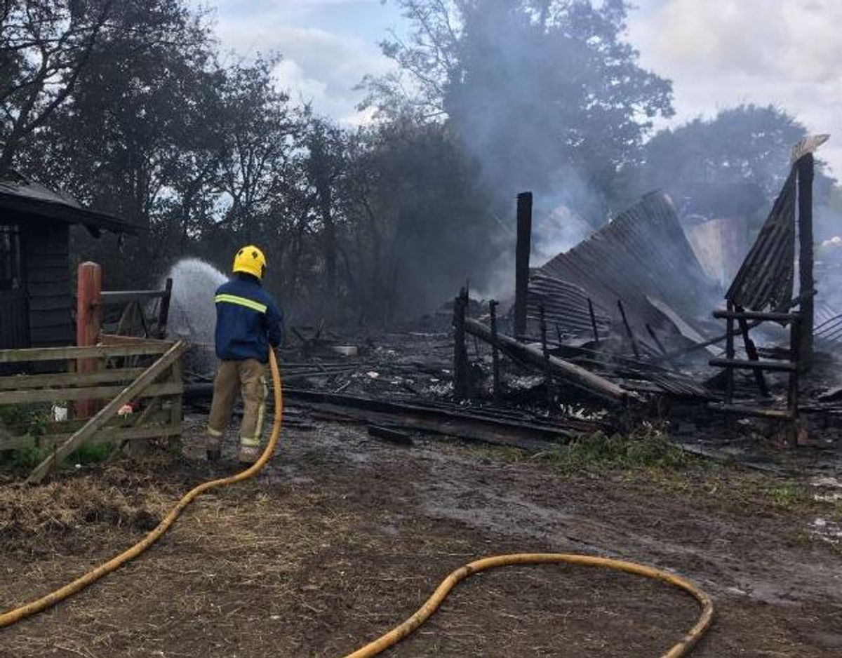 Fire at pony rescue centre in Staffordshire caused by faulty generator ...