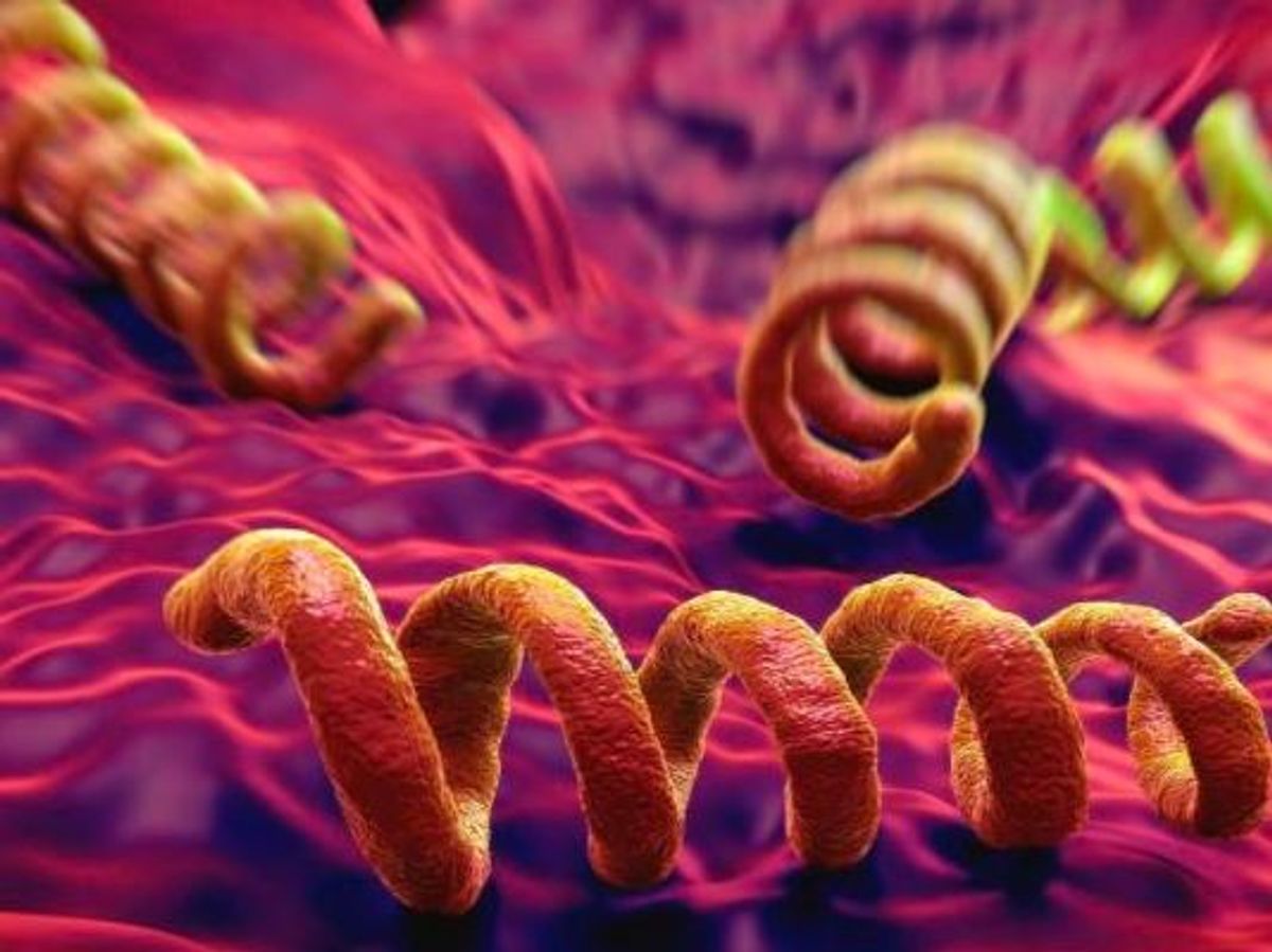 Major rise in syphilis cases in West Midlands leads to health agency ...