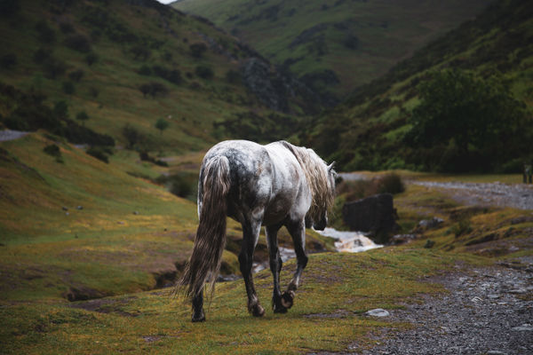 County’s rural beauty put in the frame by Shropshire amateur ...