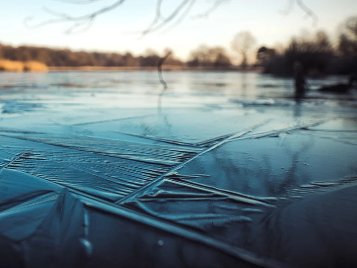 Pet owners urged to be careful around ice after dog rescued from ...