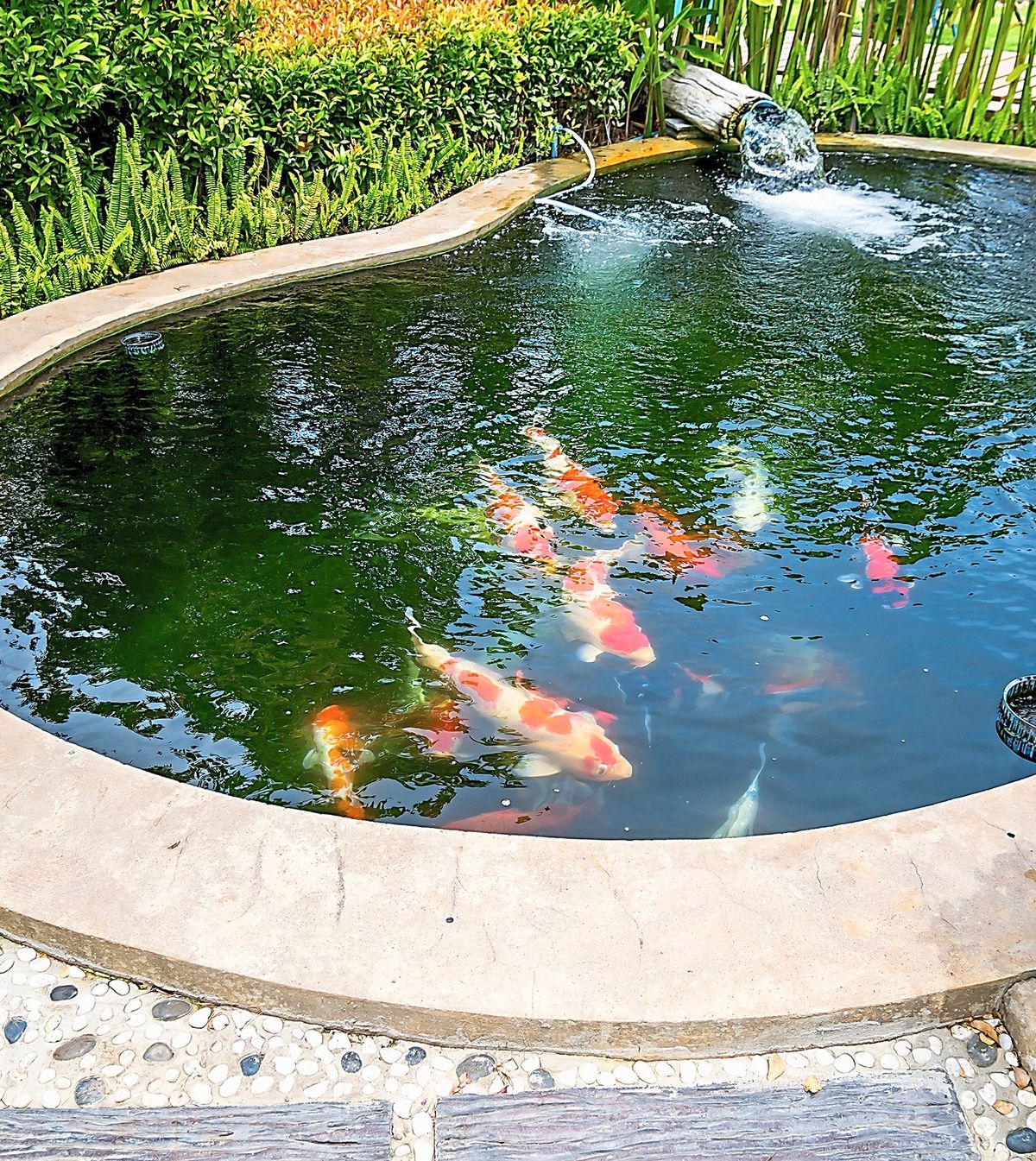 Doreen Tipton: Fish, working folk and billionaires | Express & Star