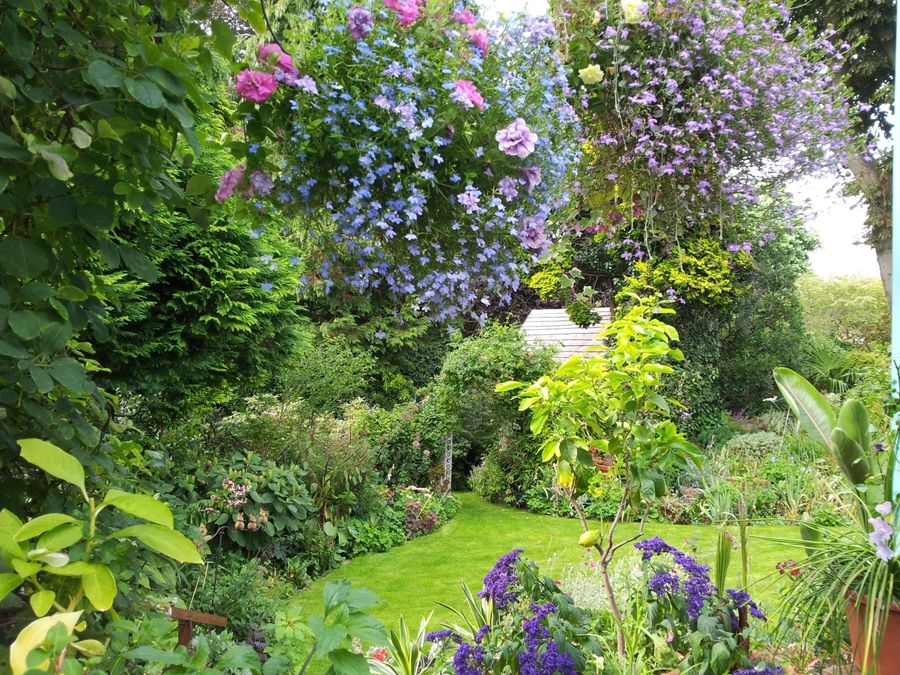 Award-winning Wolverhampton garden to star on BBC2's Gardeners' World ...