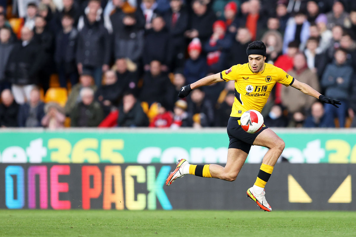 Steve Bull: Wolves still have plenty to play for this season | Express ...