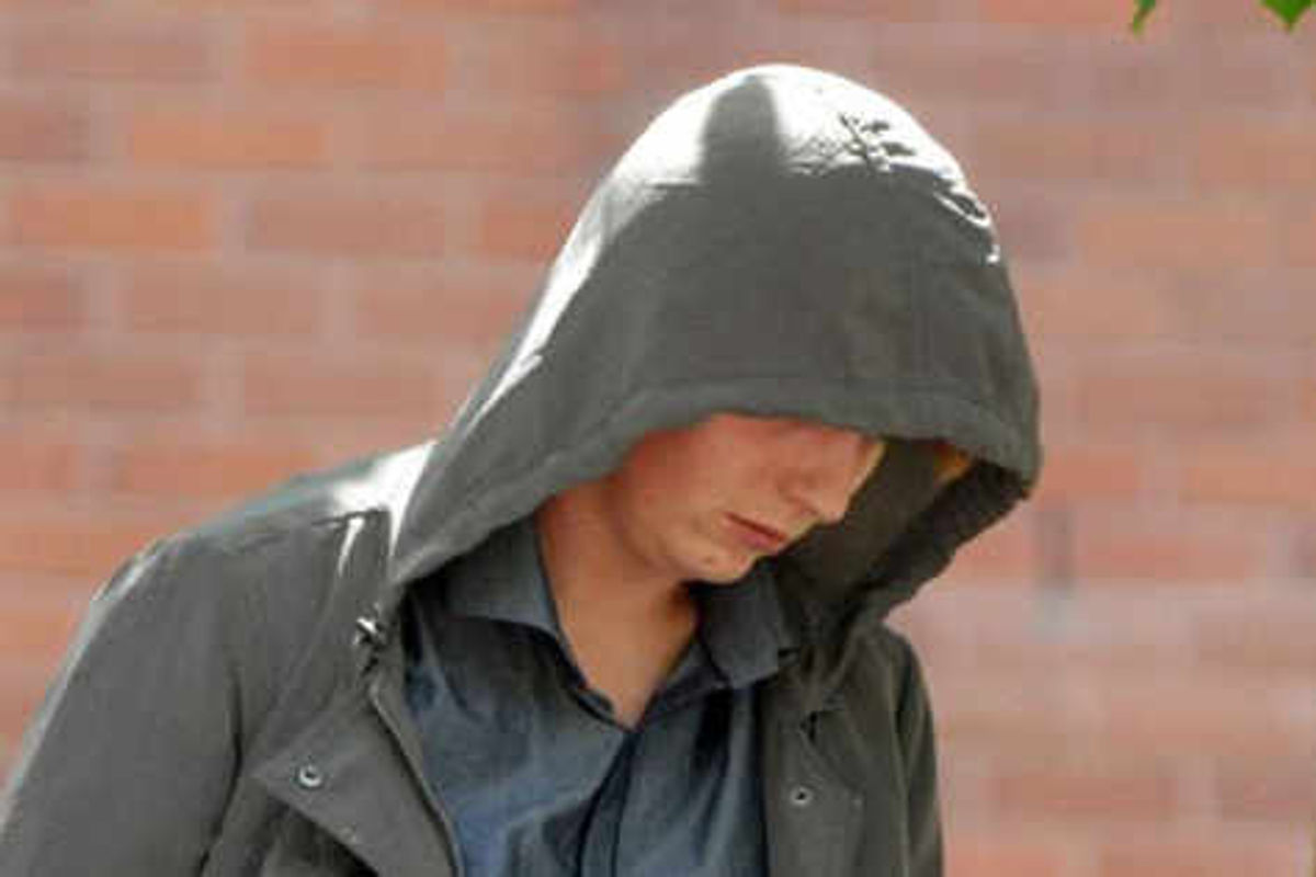 Four cats drowned by drunken woman | Express & Star