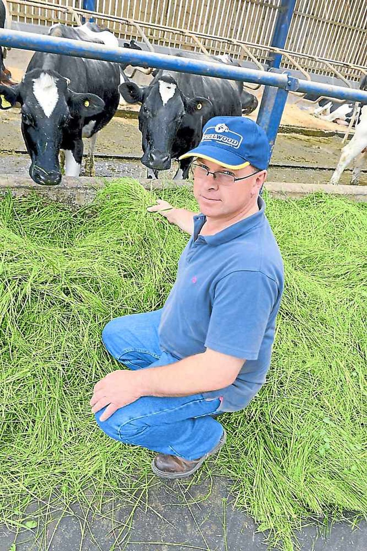 Retail giant unveils plan to aid Shropshire's dairy farmers ...