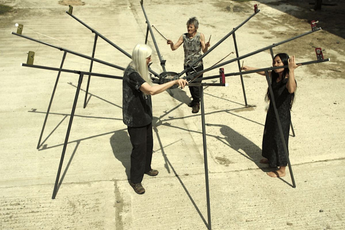 A musical which shines a light on spiders is coming to Knighton on ...