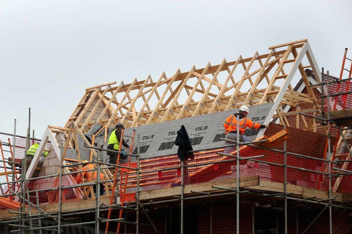 Ludlow homes plan ‘would destroy up to 644 trees’ | Shropshire Star