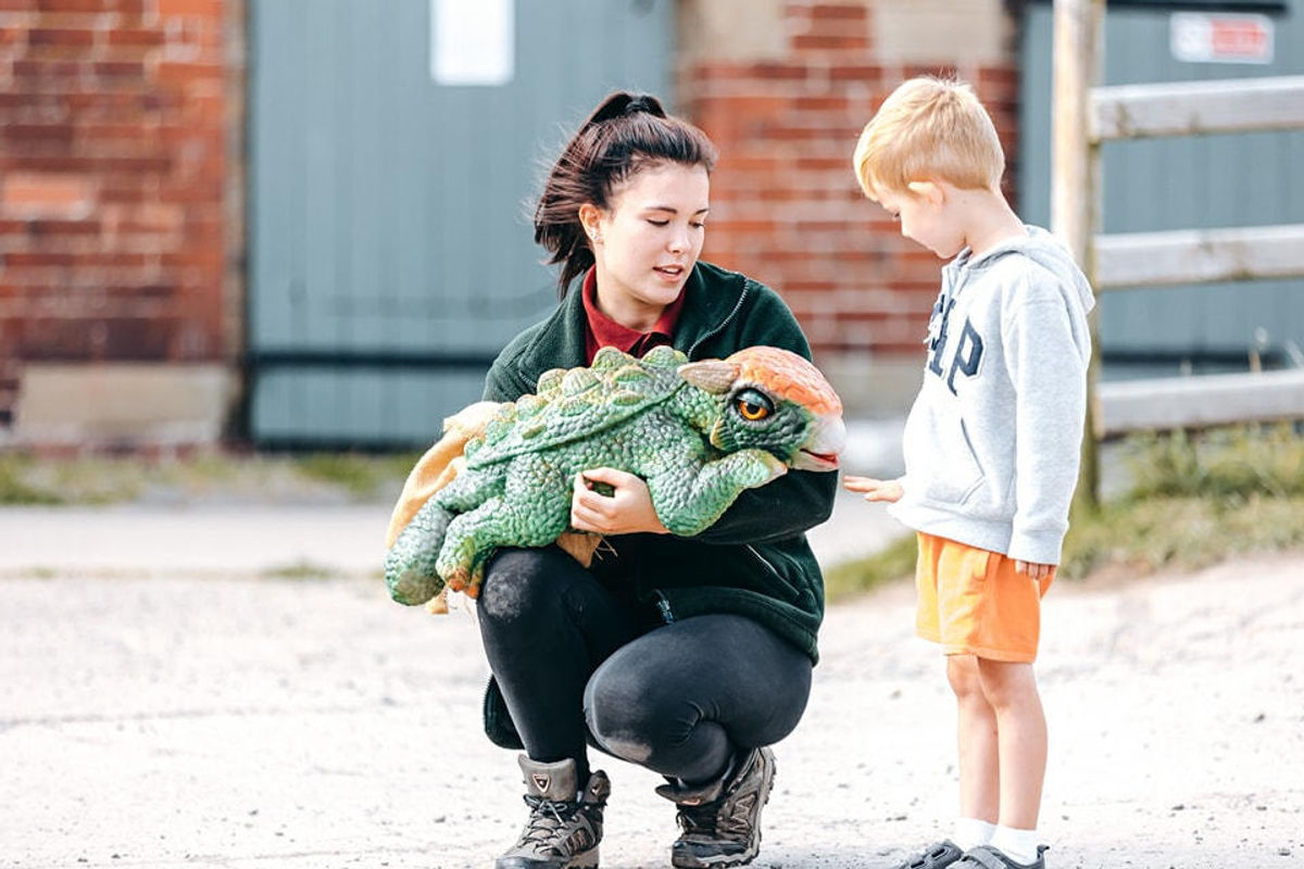 Don’t miss dino-themed fun on the farm | Shropshire Star