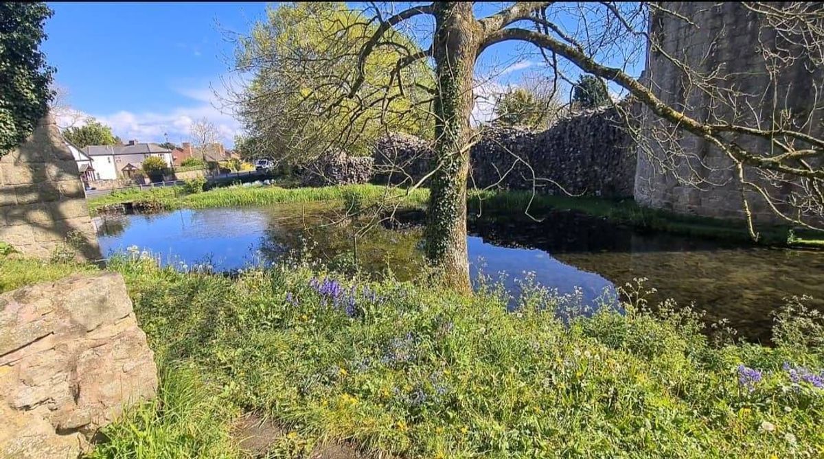 Help needed to tidy up castle grounds | Shropshire Star