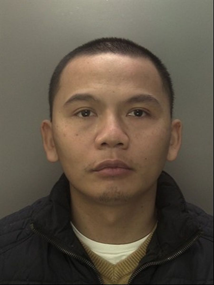 'Heartless' gangs who forced migrants to work in network of cannabis ...